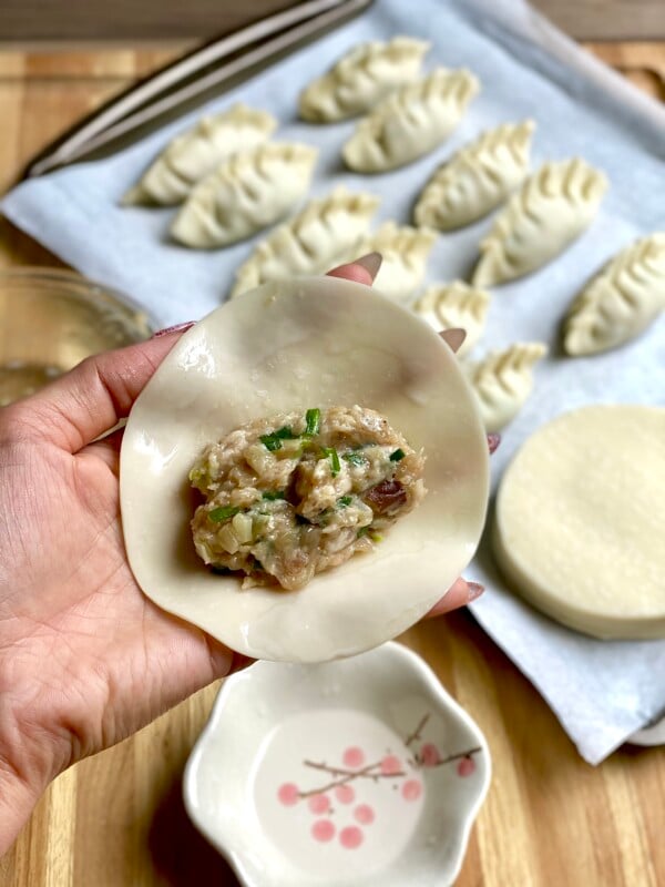 The BEST Mandu (Korean Dumplings) - Stellanspice