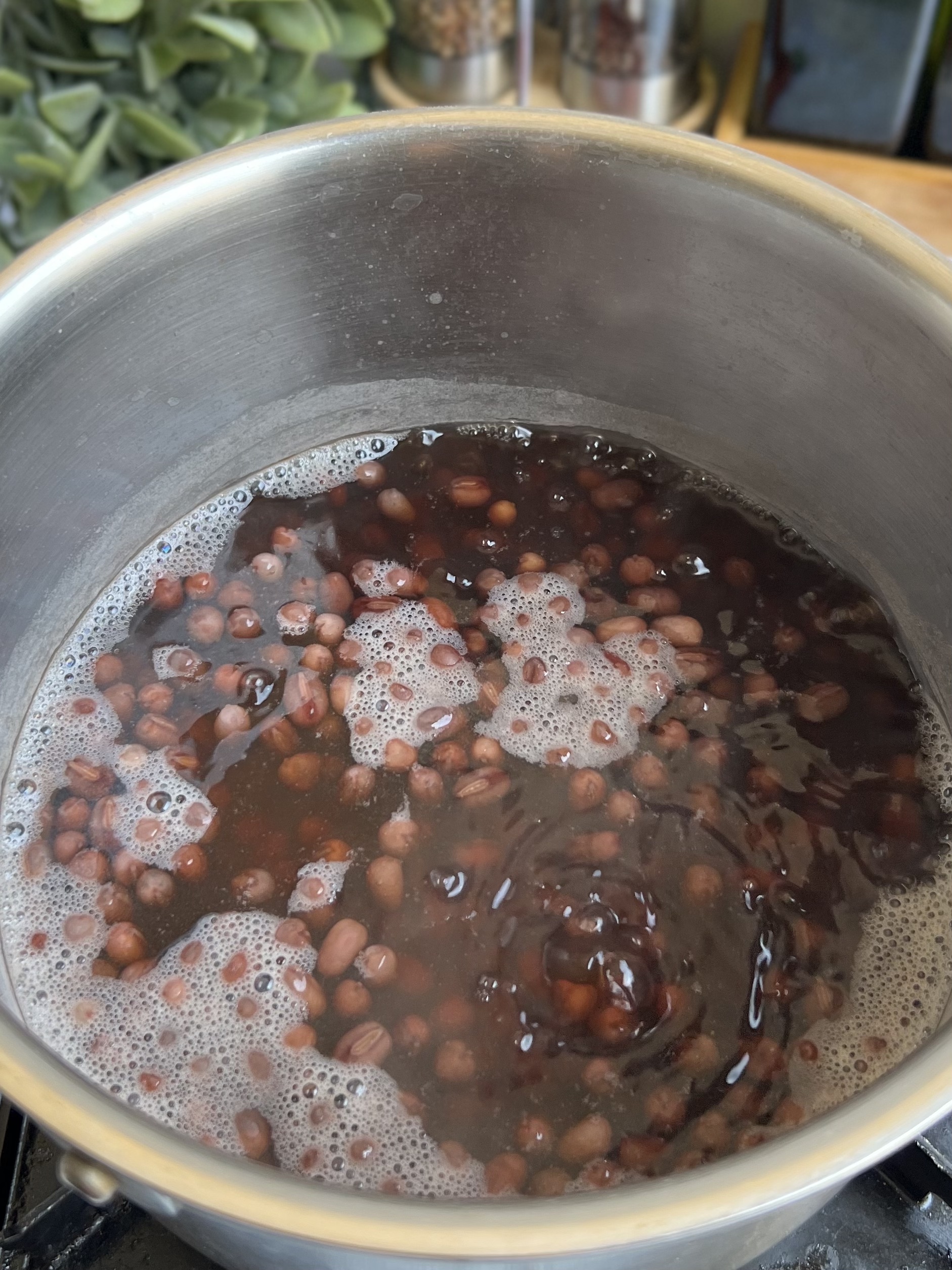 Patbingsoo Paleta (Red Bean Popsicle)