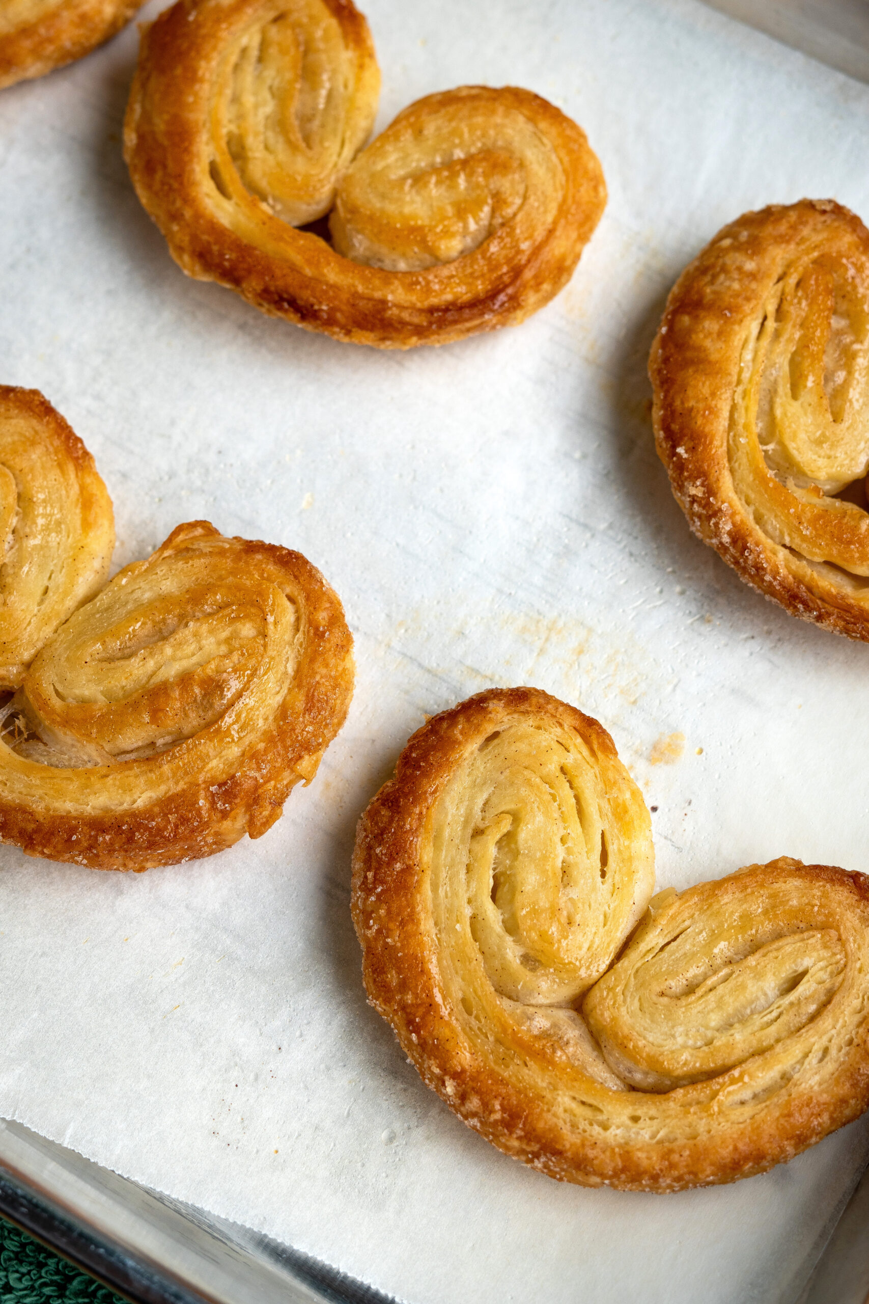 Orejas (Palmiers) - Stellanspice