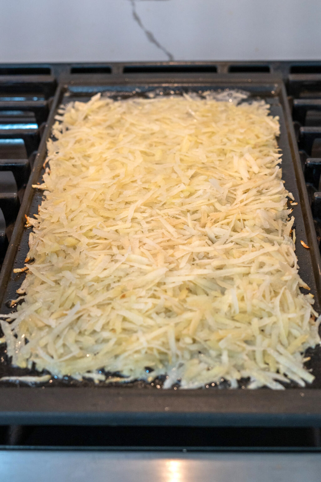 Crispy Hash Browns - Stellanspice