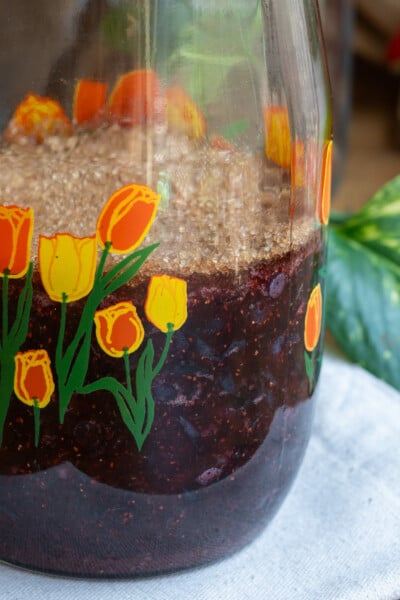 Blueberry Cheong (Korean Syrup) - Stellanspice