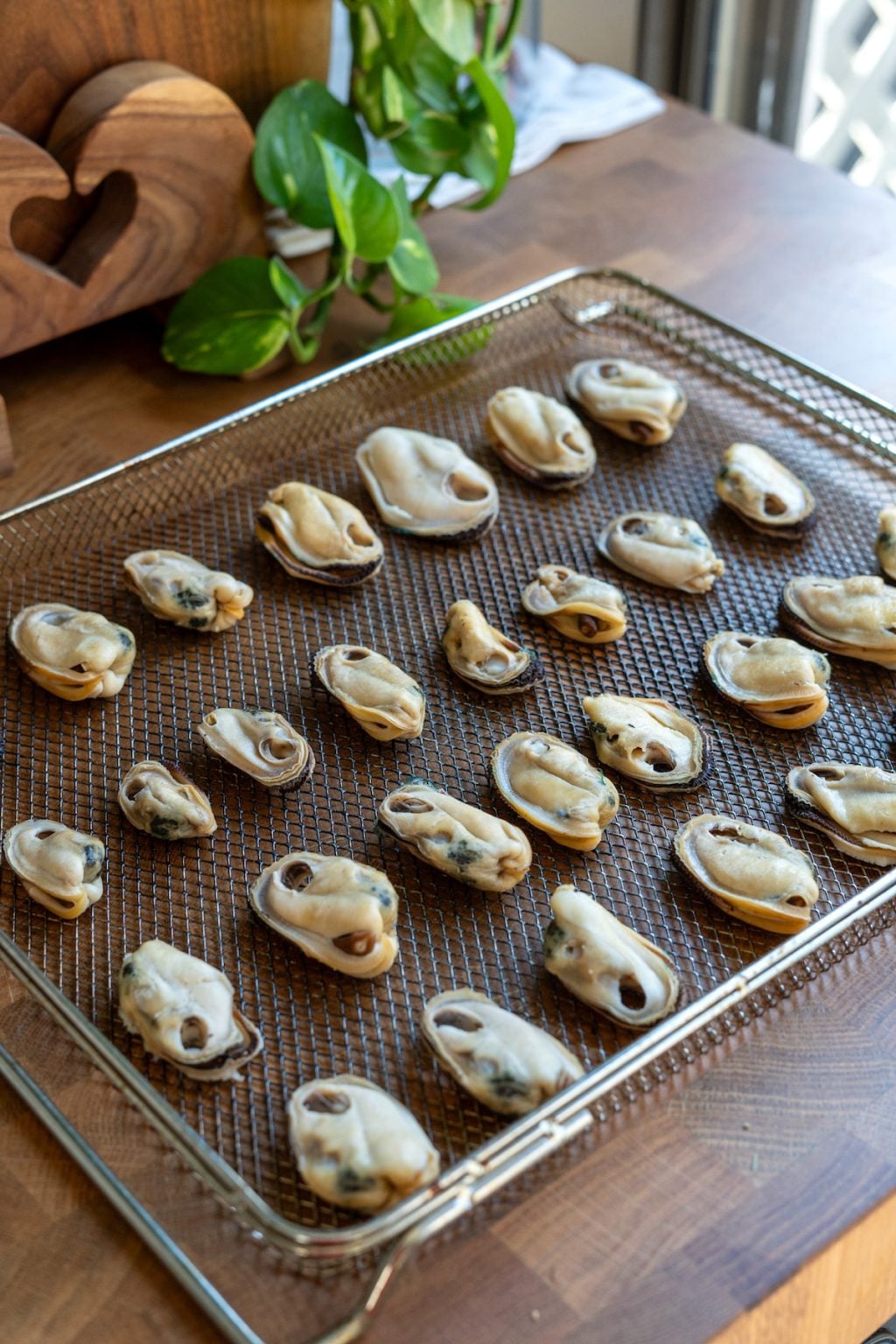 Green Lipped Mussels for Dogs - Stellanspice