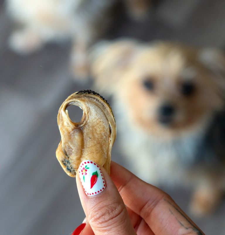 Green Lipped Mussels for Dogs