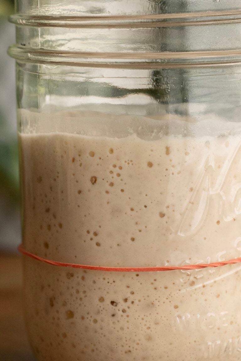Birote Salado (Mexican Sourdough Bread) - Stellanspice