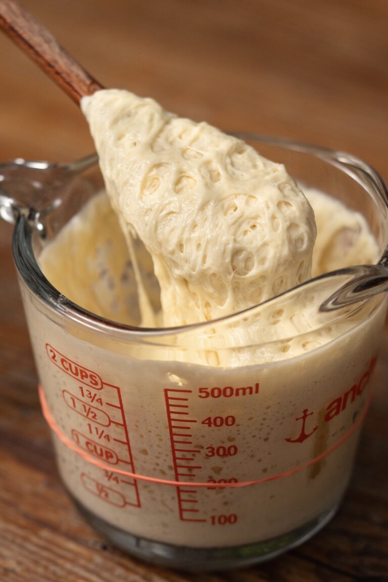 Birote Salado (Mexican Sourdough Bread) - Stellanspice