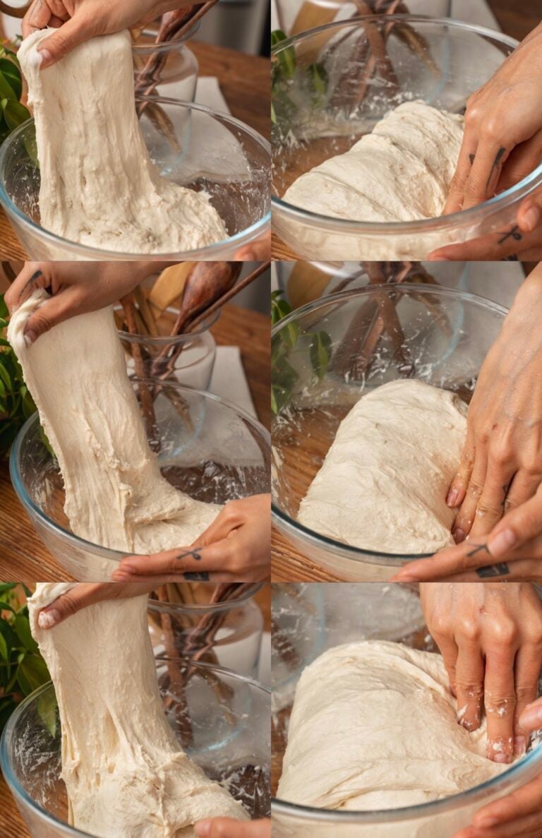 Birote Salado (Mexican Sourdough Bread) - Stellanspice